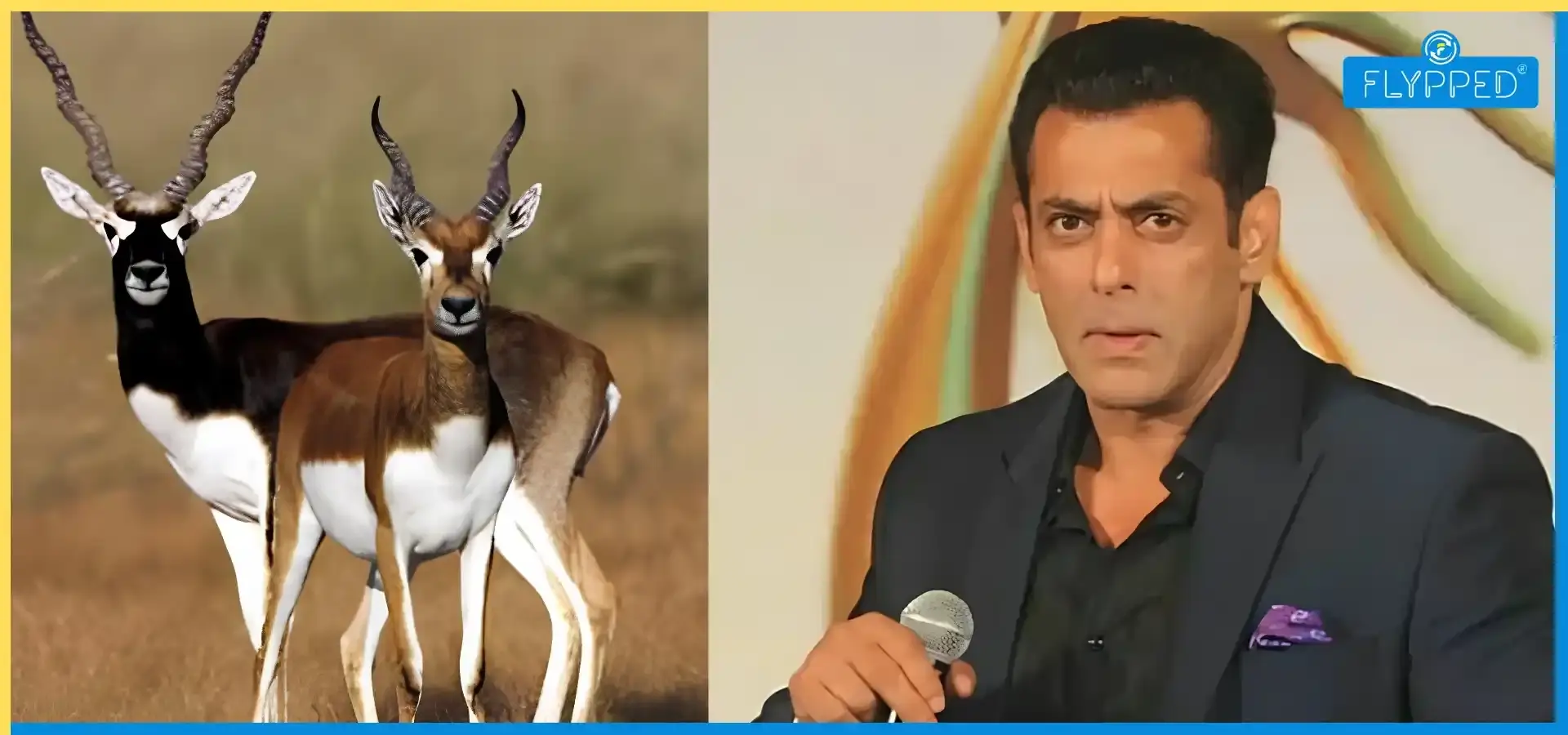 Salman Khan Black Buck Film Controversy: क्या है पूरा मामला?